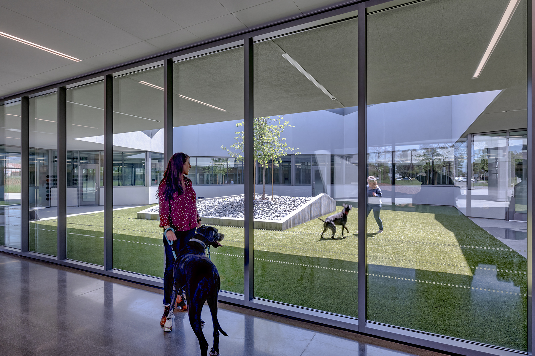 Animal Services Center is ENR Regional Best Government Project for ...
